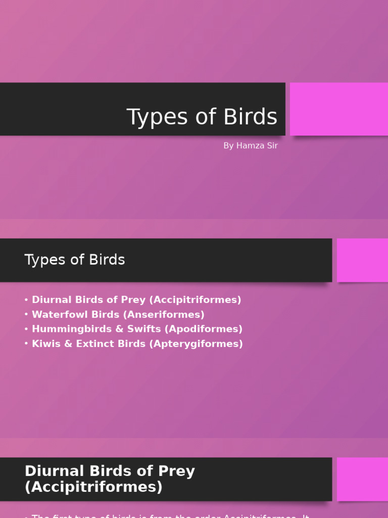 Types of Birds | PDF
