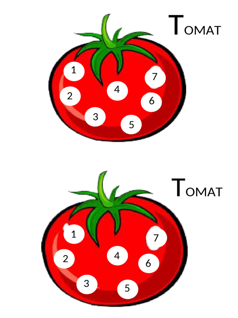TOMAT | PDF