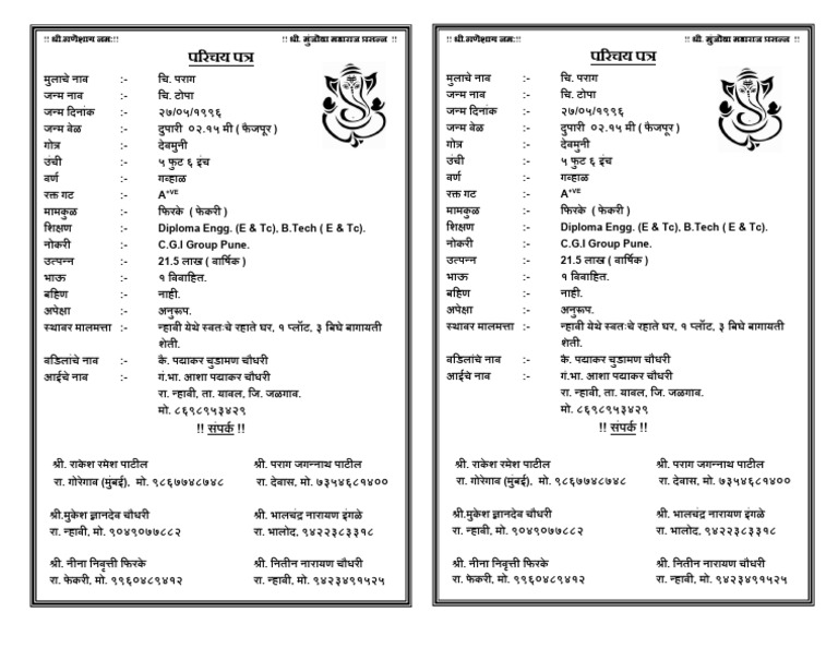 Parag Chaudhari Bio-Data | PDF