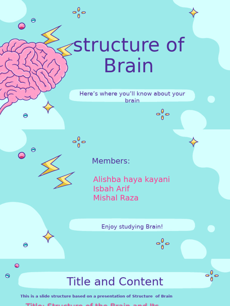 Structure of Brain | PDF | Brain | Cerebrum