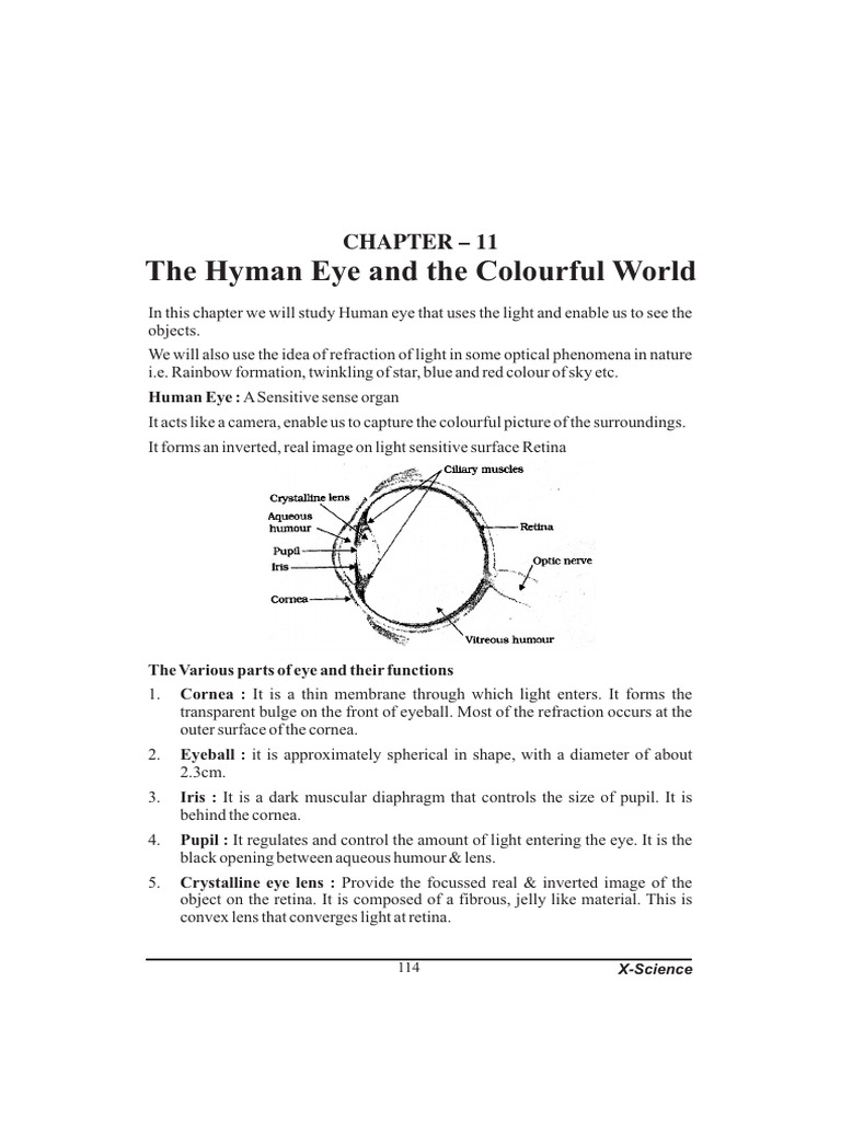 X SC - The Human Eye & The Colourful World | PDF | Sunset | Eye