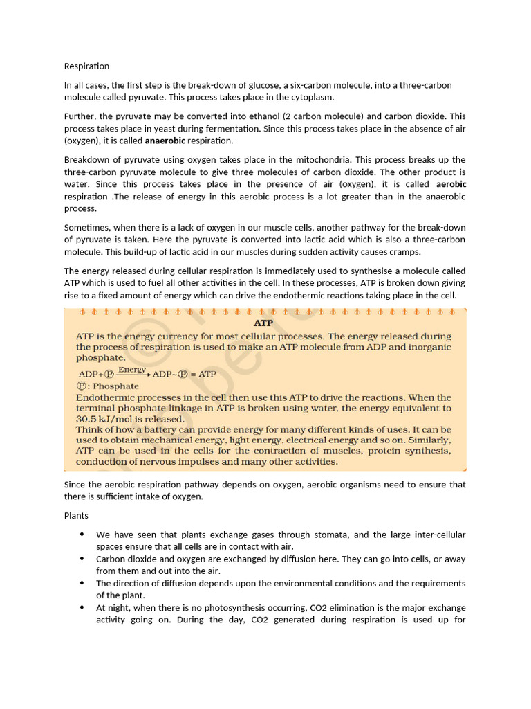 Respiration | PDF | Cellular Respiration | Respiration