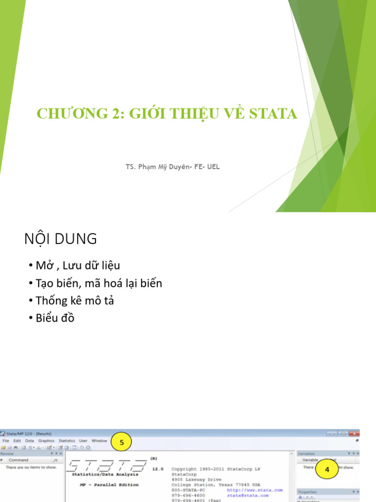 2.Chuong 2. Giới Thiệu Về Stata | PDF