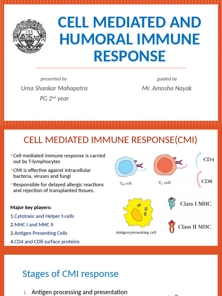 Immune Response: CMI & Humoral Overview | PDF | B Cell | Cytotoxic T Cell