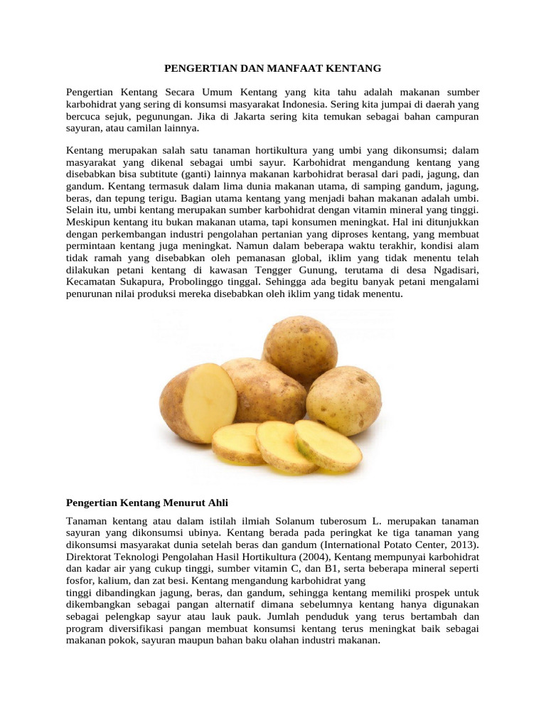 Pengertian Dan Manfaat Kentang | PDF