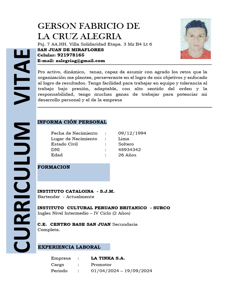 CV Gerson de La Cruz | PDF