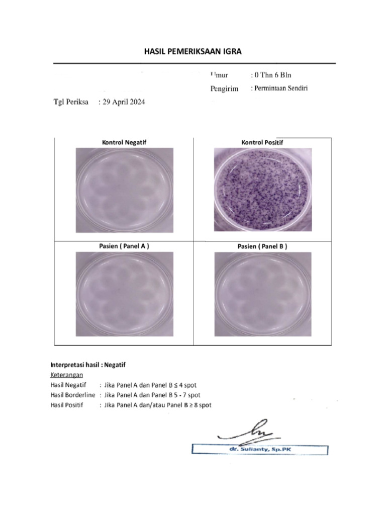 Hasil Tes Igra | PDF