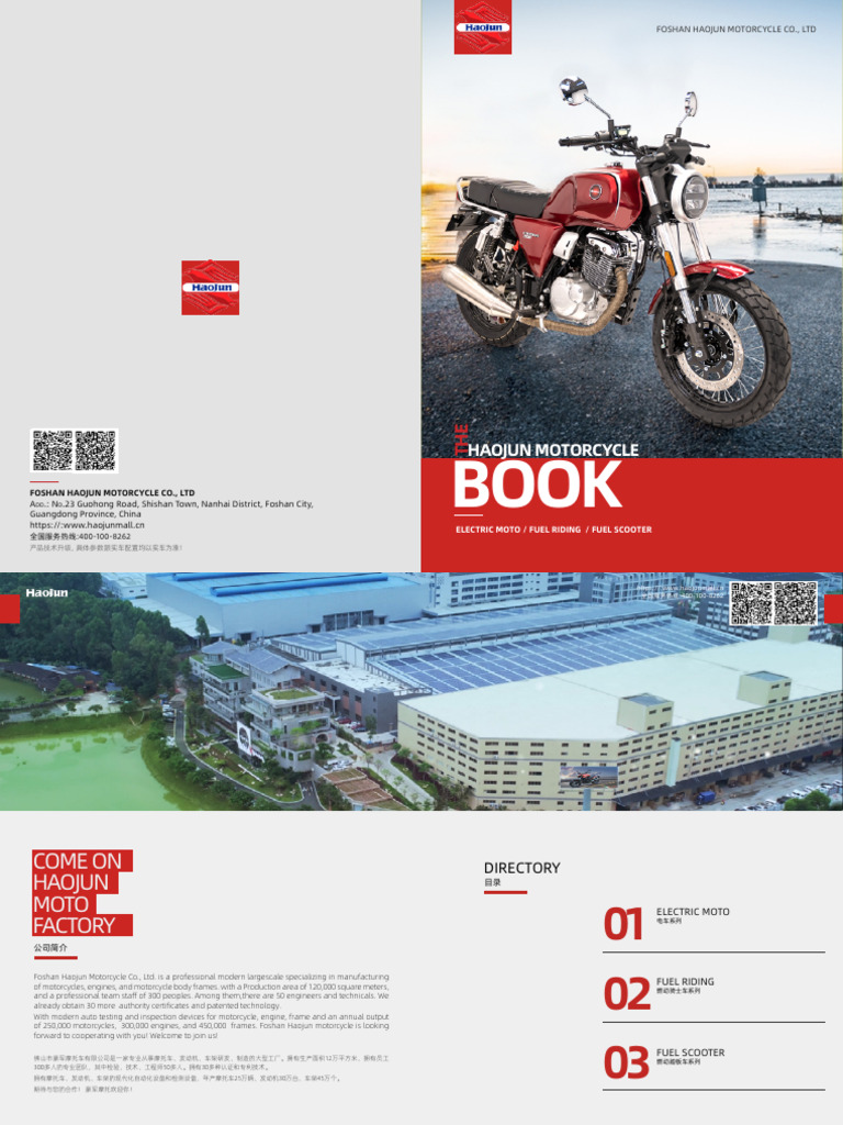 Haojun and Kavaki Company Profile | PDF