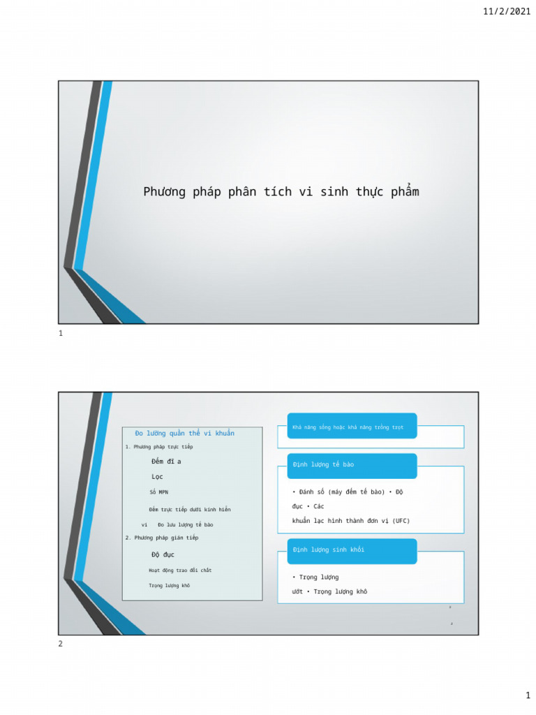 PP Phan Tich VSV | PDF