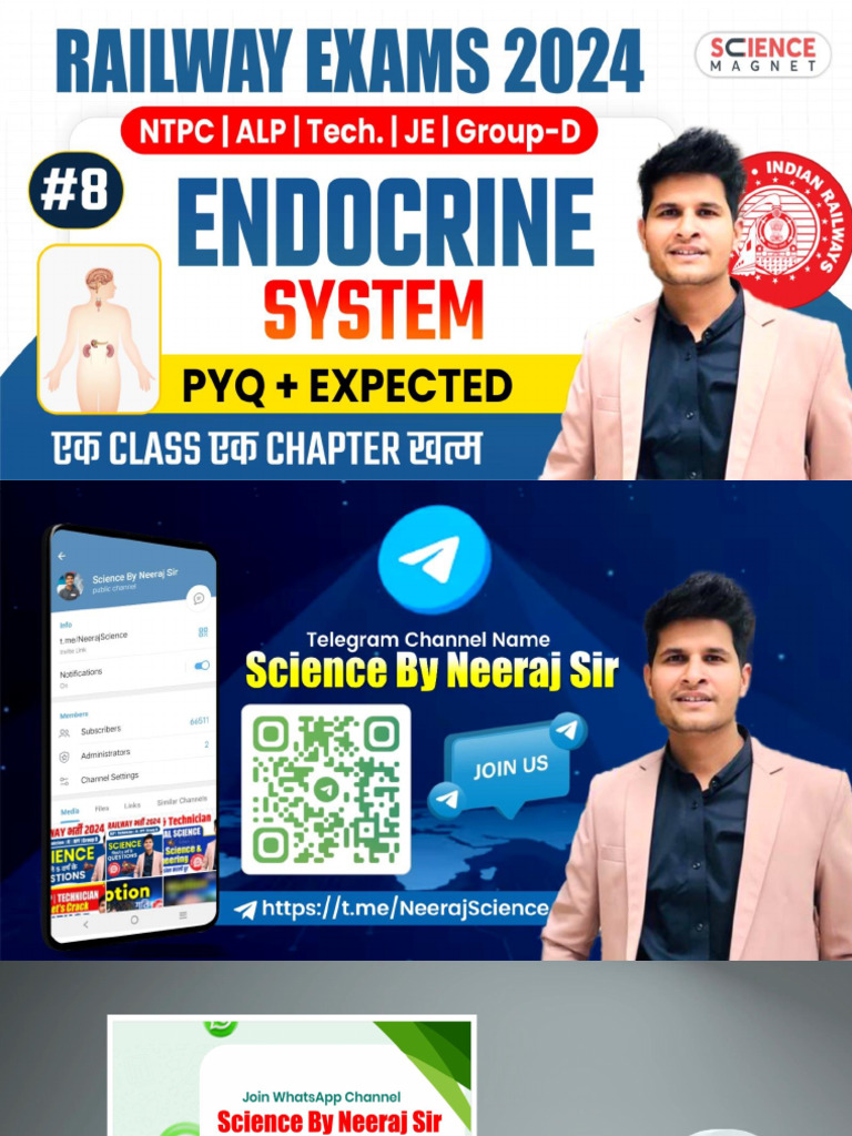 Class-8 Endocrine System | PDF