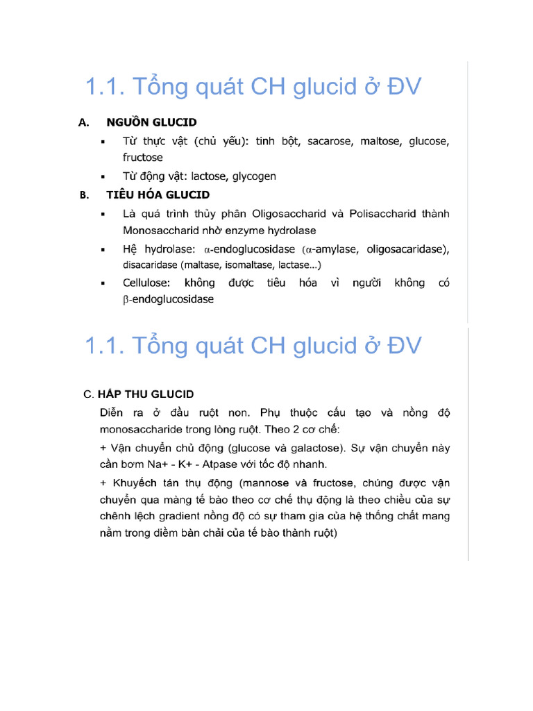 CH Glucid | PDF