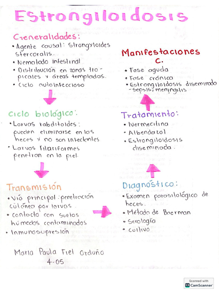 T25 - Fiel Orduño María Paula | PDF