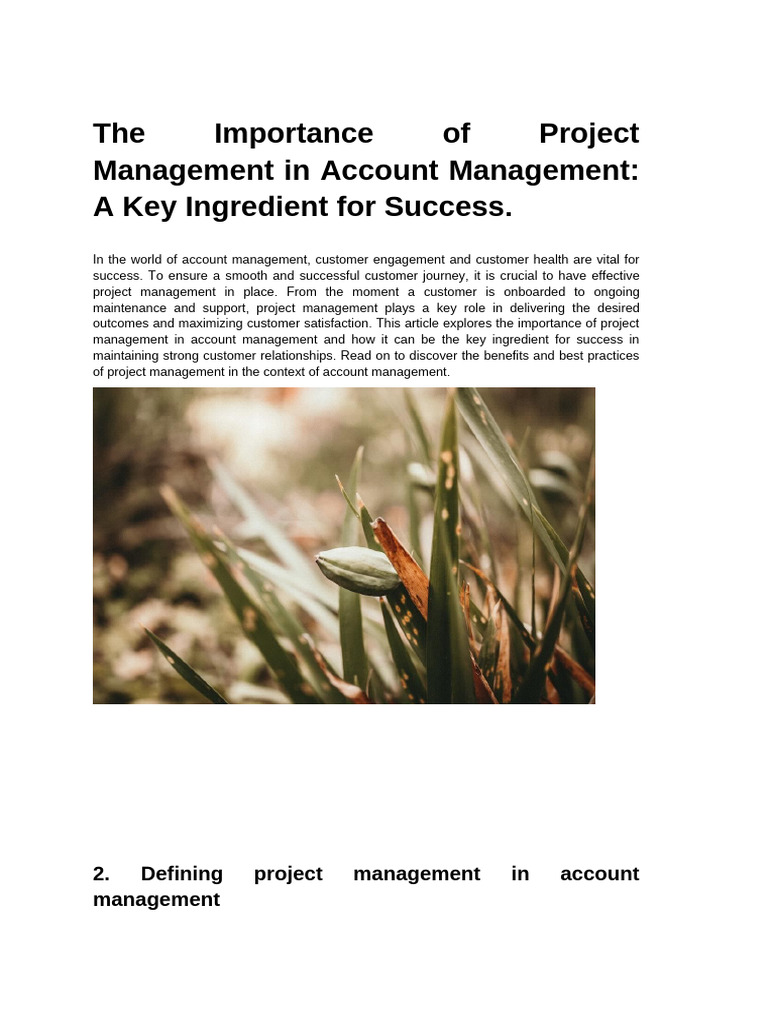 The Importance of Project Management in Account Management - A Key ...