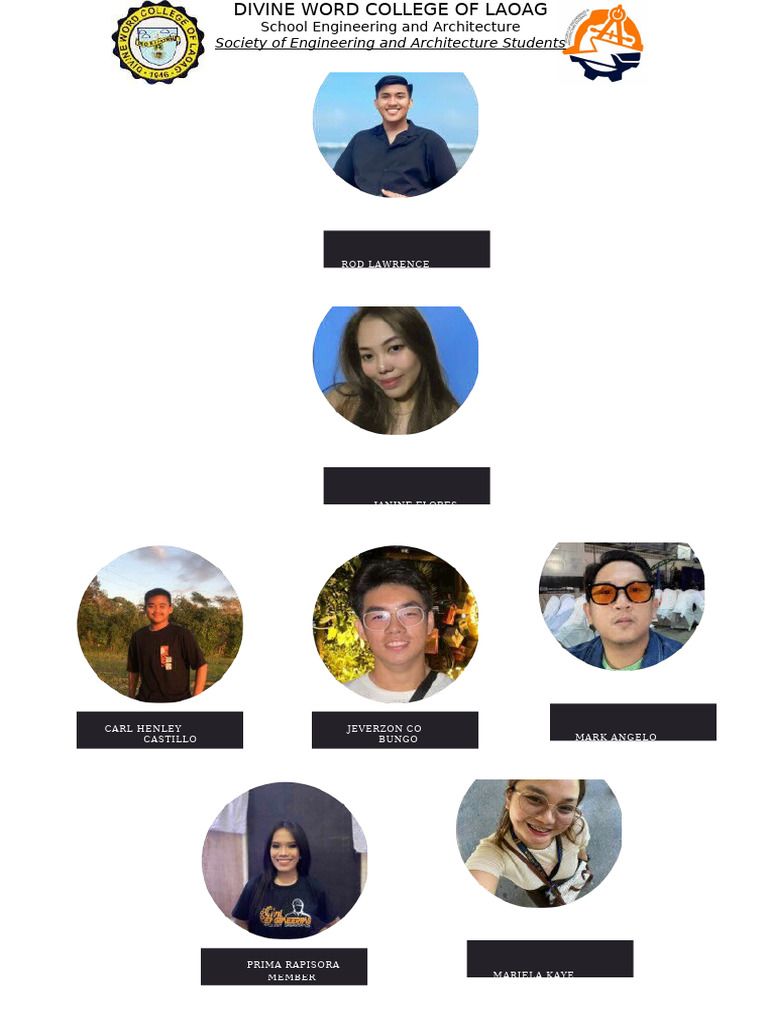 Organizational Chart Surveying | PDF