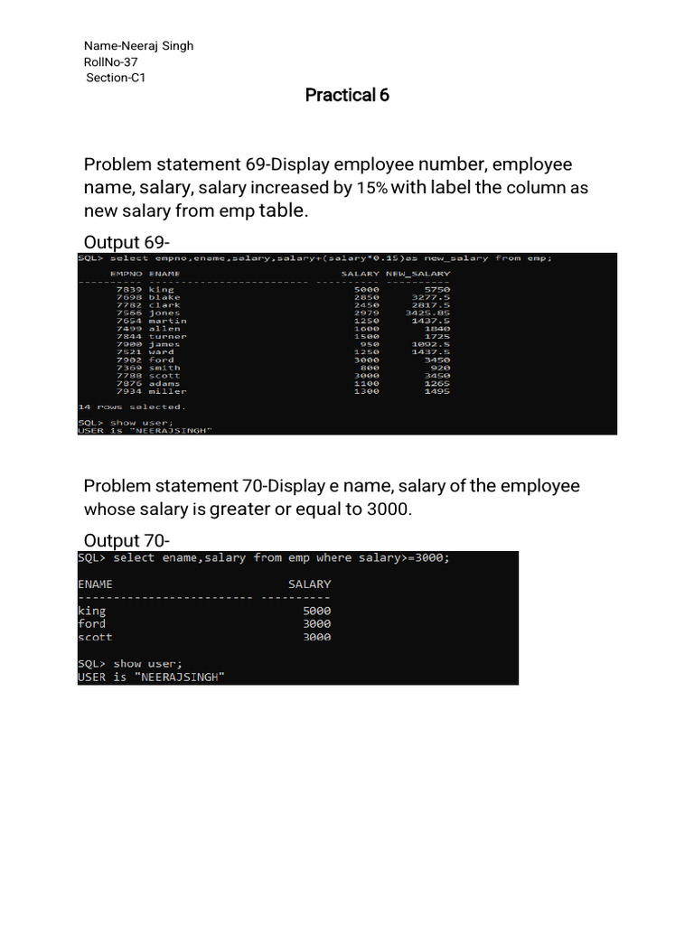 Employee Data Queries Guide | PDF