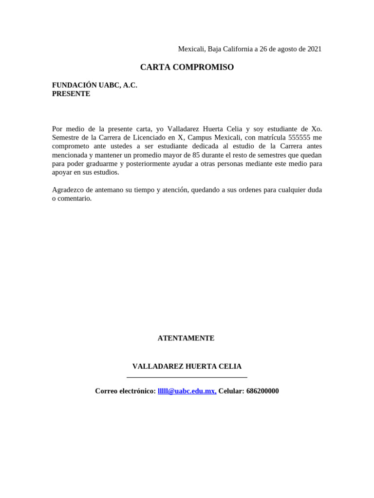 Carta Compromiso1 | PDF