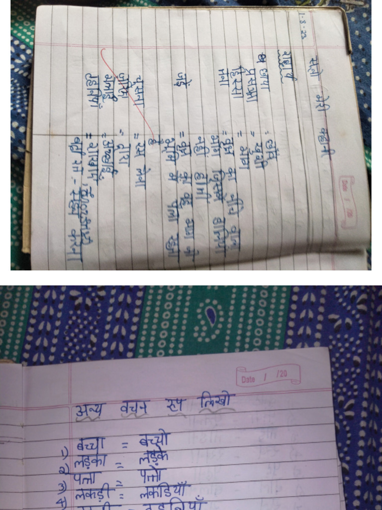 Lesson 3 Hindi Class 7 | PDF