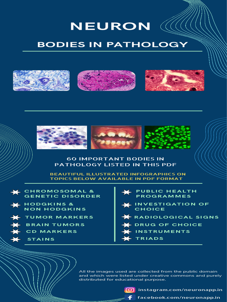 60 Key Pathology Bodies Explained | PDF | Medical Specialties ...