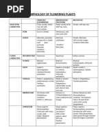 MOFP - Plant families chart | PDF | Petal | Plants