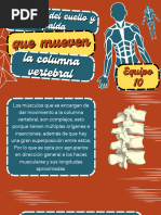 Musculos Intrinsecos y Extrinsecos Del Dorso | PDF | La columna ...