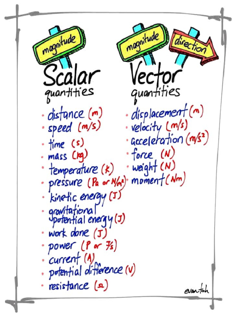 Scalar Vectors | PDF