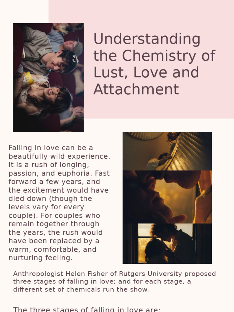 Pink and Cream Basic Presentation Template | PDF | Sexual Orientation | Gender Studies