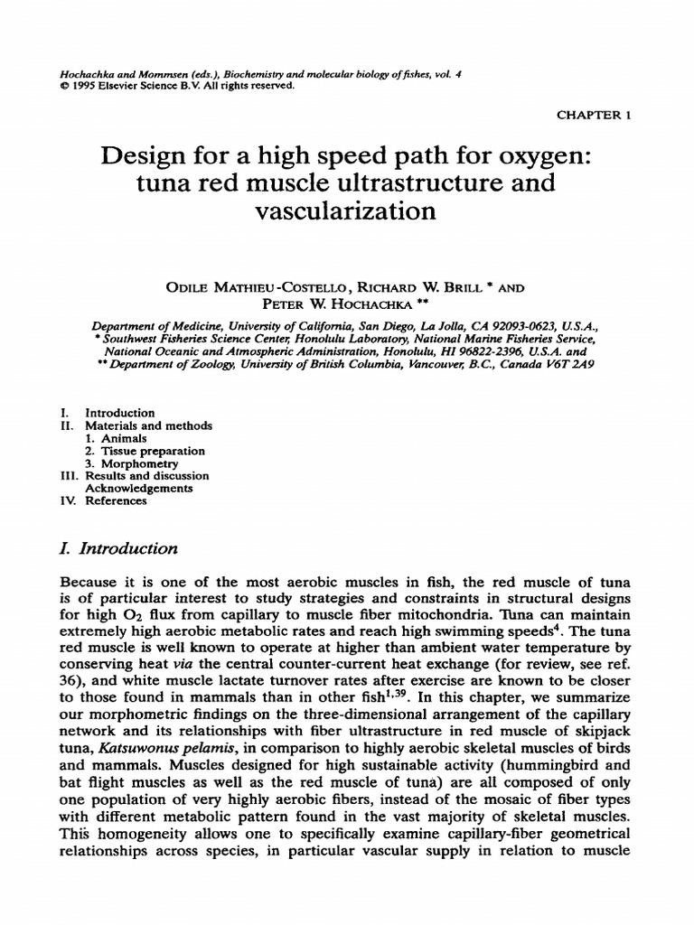Chapter 1 Design For A High Speed Path For Oxygen 1995 Biochemistry and ...