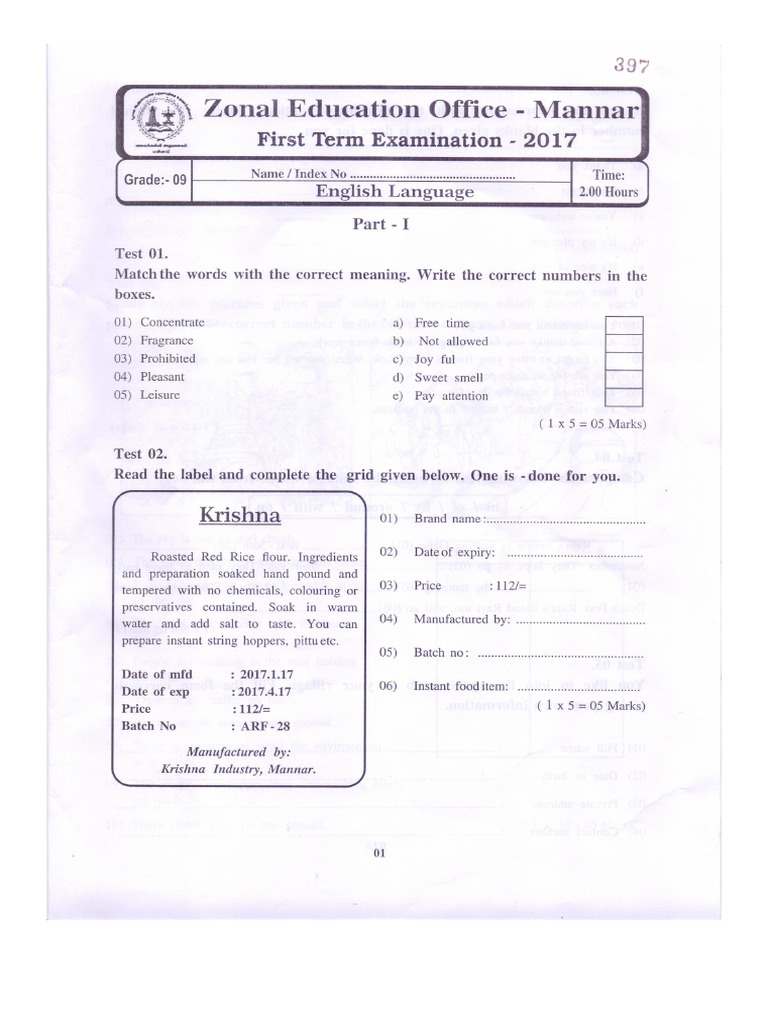 1 Grade 9 English Term Test Paper - Mannar Division | PDF