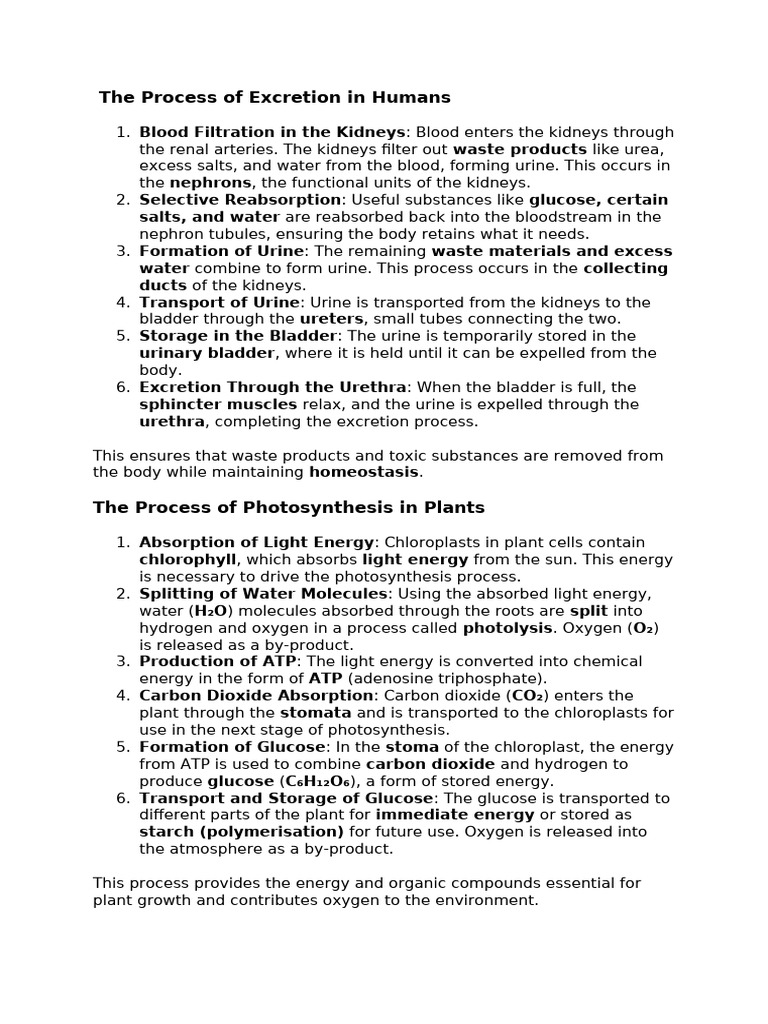 The Process of Excretion in Humans | PDF | Menstrual Cycle | Kidney