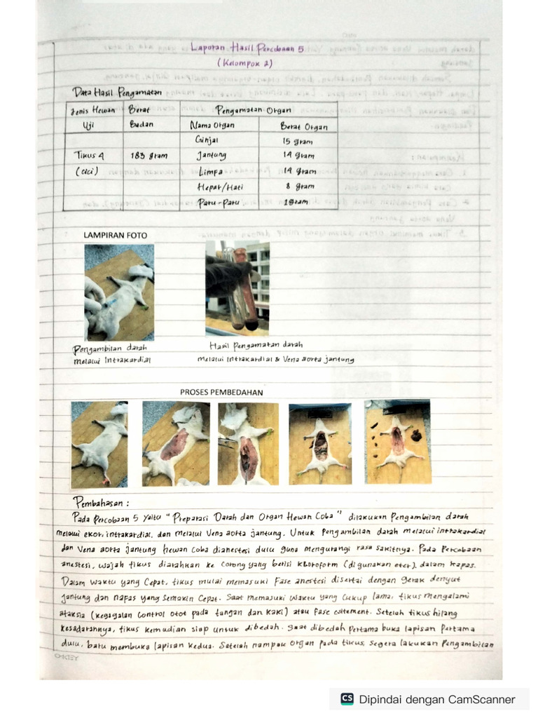 HASIL LAPORAN PERCOBAAN 5 Dan 6 (2 Lembar Pertama Perc 5, 2 Lembar Terakhir Perc 6) | PDF