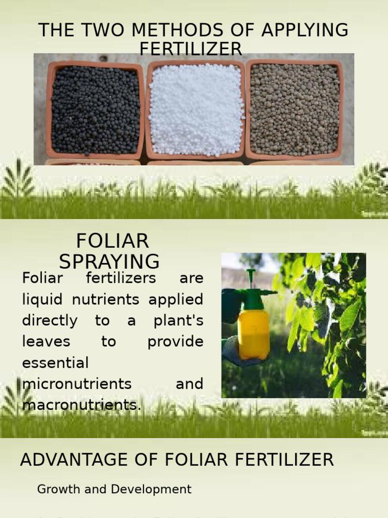 Two Methods of Applying Fertilizer - 20241127 - 134215 - 0000 | PDF