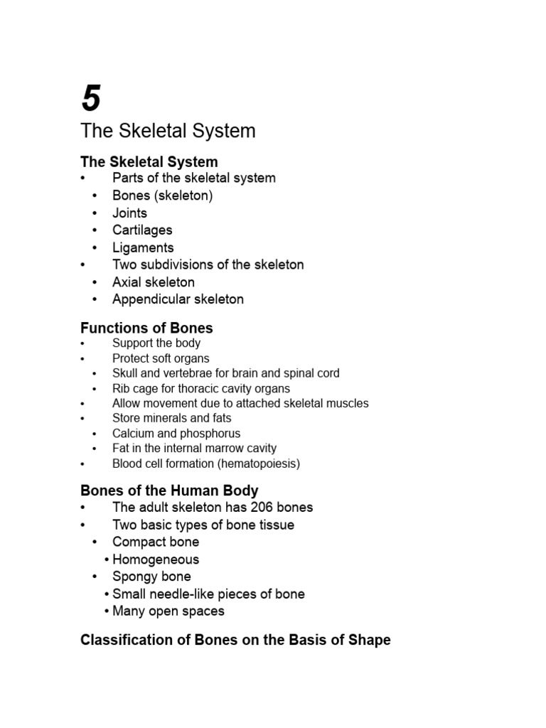 Skeletal | PDF | Bone | Vertebra