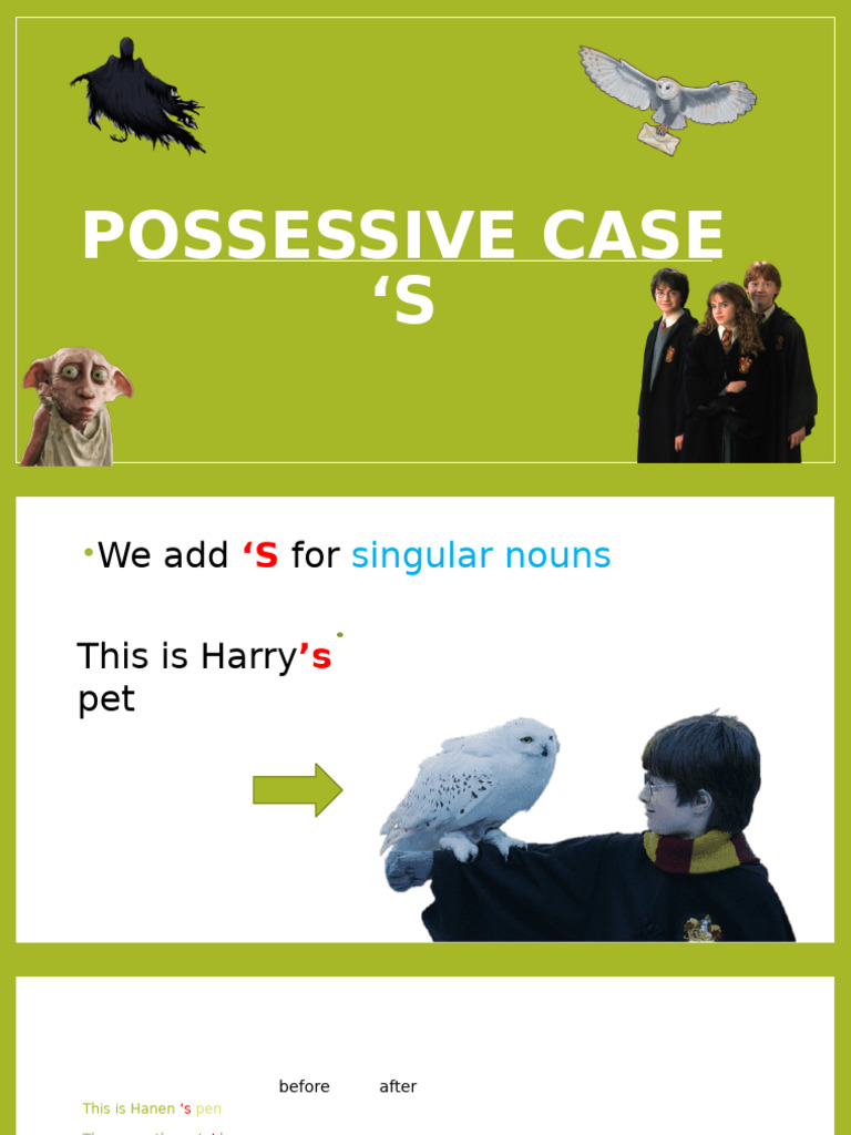 Possessive S Harry Potter Grammar | PDF