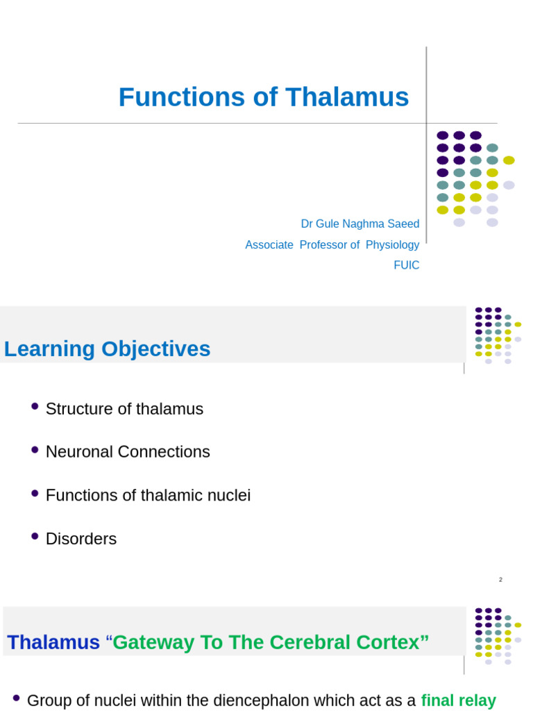 2021 Functions of Thalamus | PDF | Thalamus | Cerebellum
