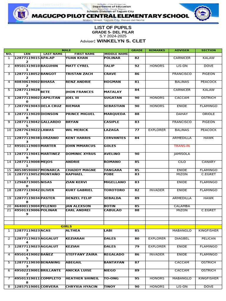 Del Pilar Masterlist 2024 2025 Print | PDF