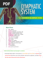 Lymphatic Terms | PDF
