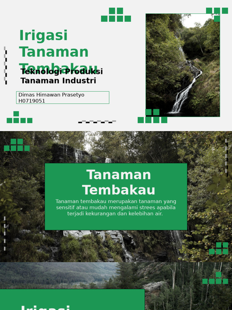 Dimas Himawan Prasetyo - H0719051 - PPT Irigasi Tanaman Tembakau | PDF