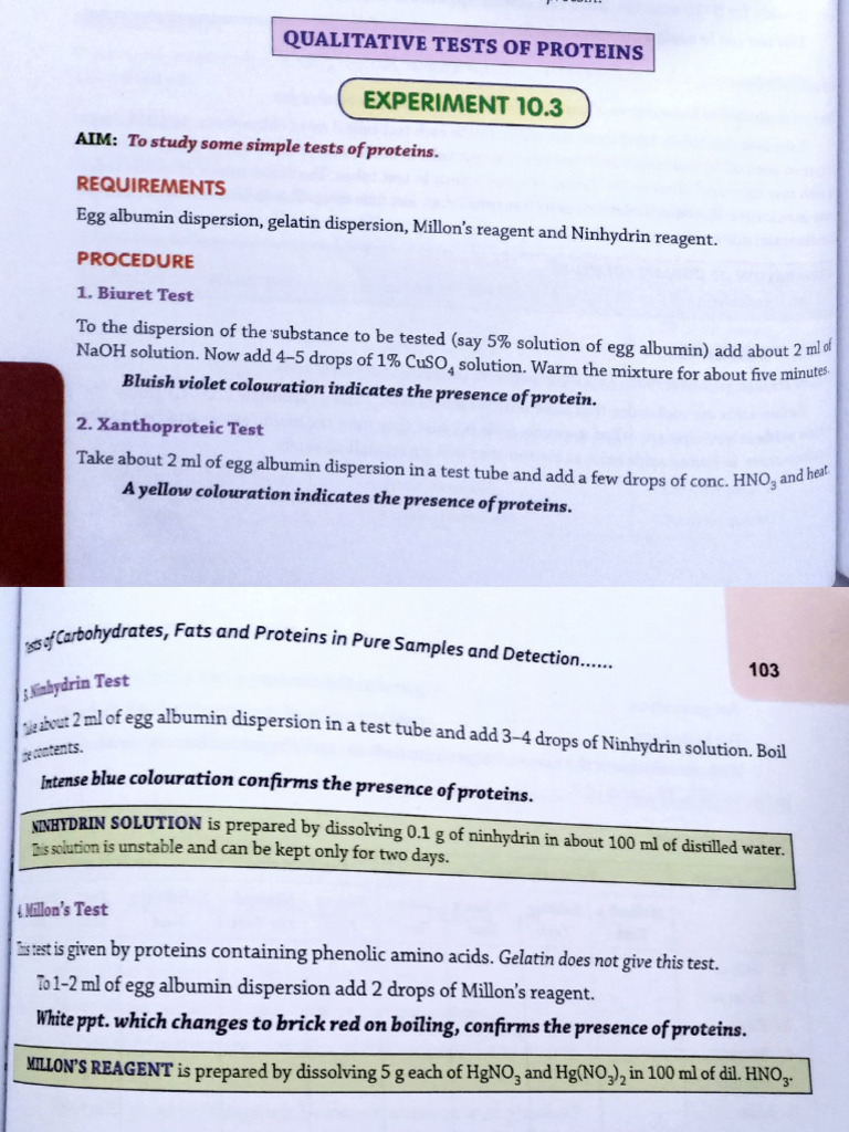 To Study Some Simple Tests of Proteins | PDF | Proteins | Nitric Acid