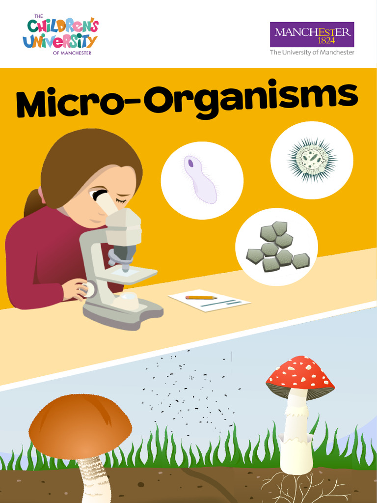 Micro Organisms | PDF | Fungus | Mushroom