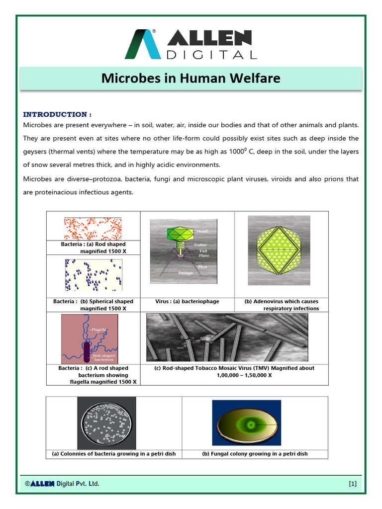 Microbes Sheet | PDF | Sewage Treatment | Biological Pest Control