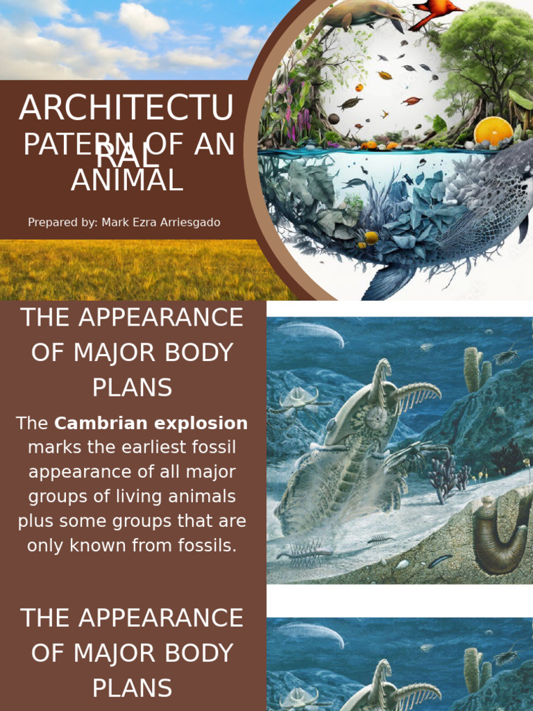 Architectural Pattern | PDF | Morphology (Biology) | Biology