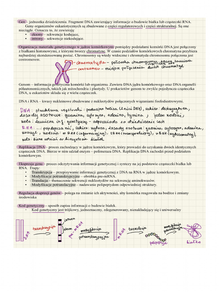Notatki Biologia Dział 1 Klasa 3 Podstawa | PDF
