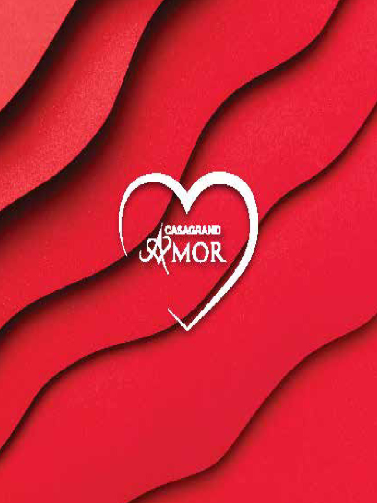 Amor Brochure | PDF