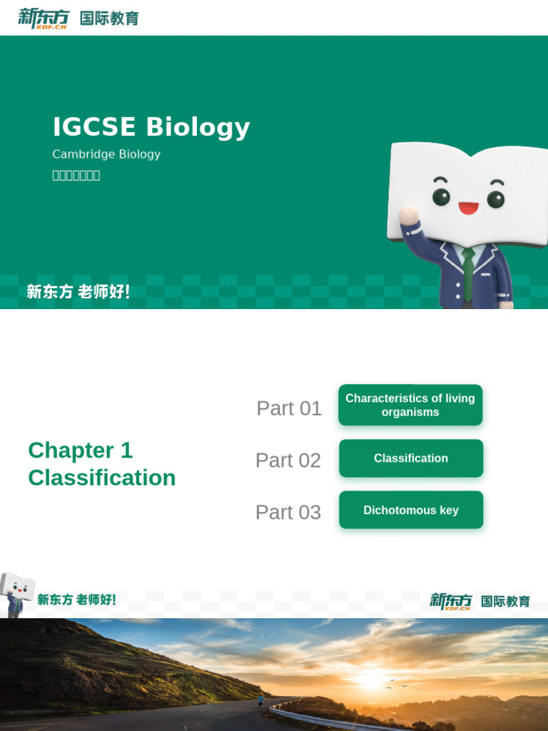 Chapter 1 Classification | PDF