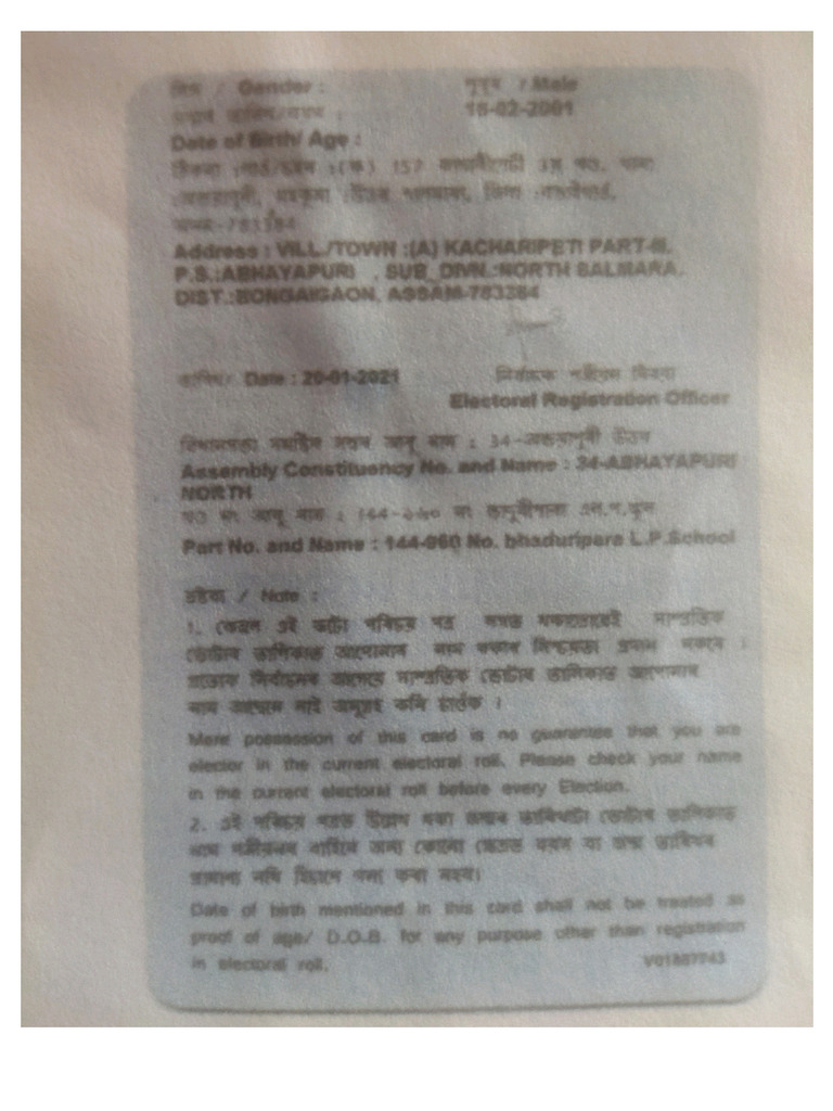 PDF Gallery - 20241124 - 154637 | PDF