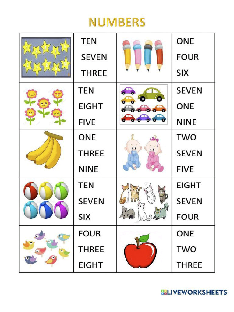 Color and Number | PDF