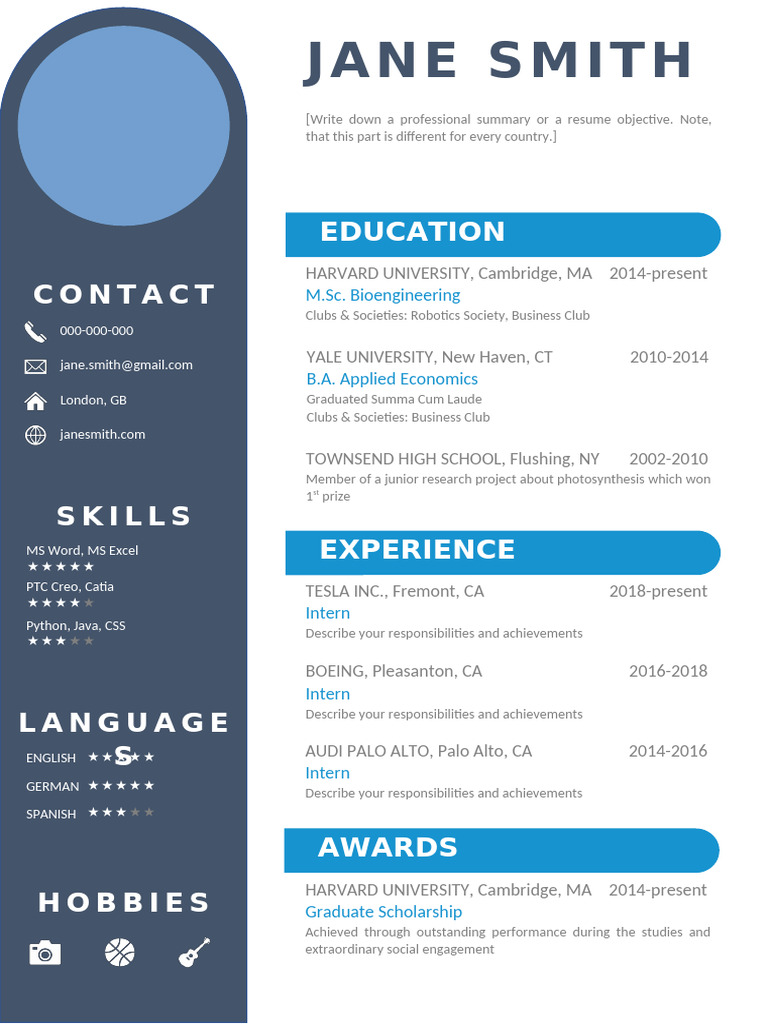 Modern Resume Template 2 | PDF