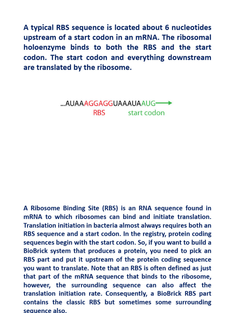 RBS Slides | PDF