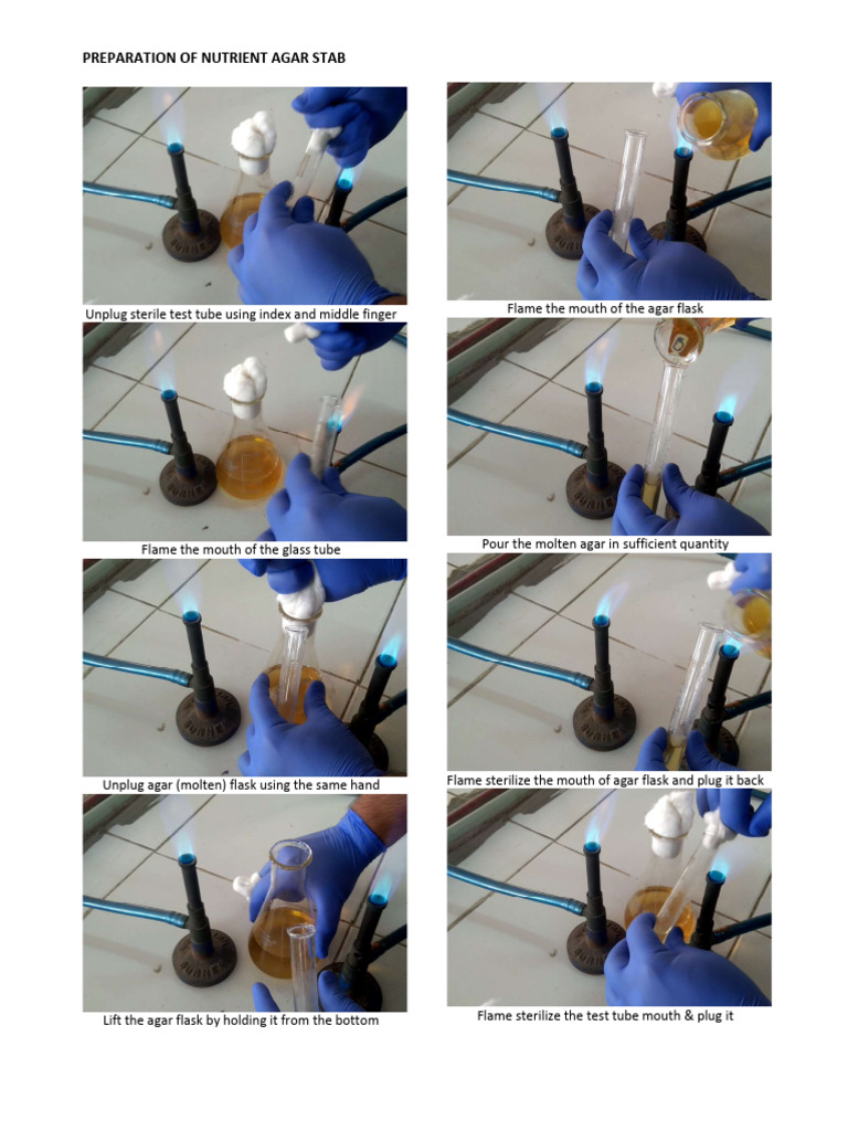 Exp No. 2 PDF For Taking Printouts | PDF | Microbiology