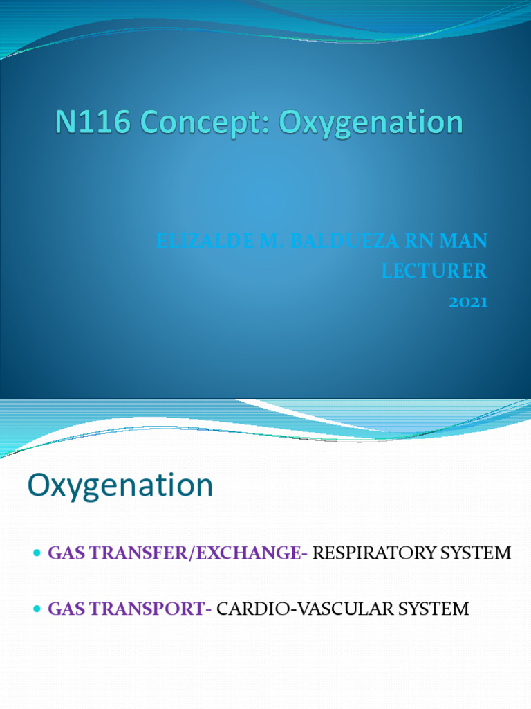 2013 Oxygenation Updated | PDF | Lung | Respiratory System